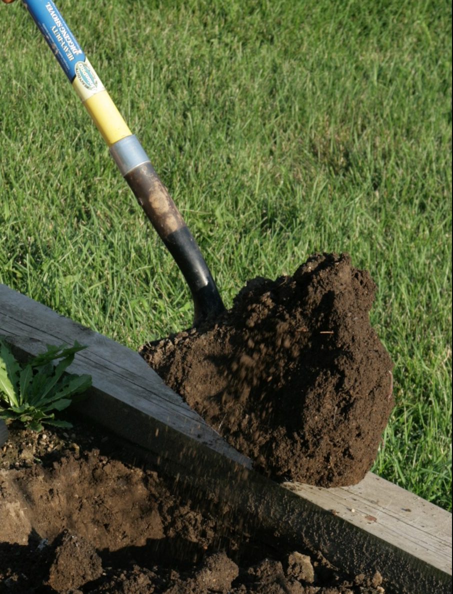 Participatory Plant Breeding Master Gardener Program